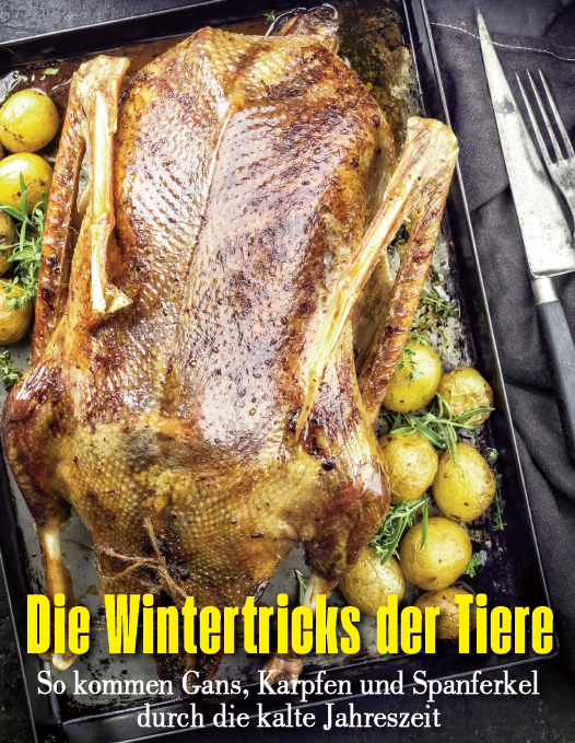 funzel-wissen | Das Satiremagazin EULENSPIEGEL